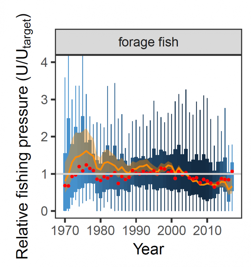 The status of forage fish | IFFO - The Marine Ingredients Organisation